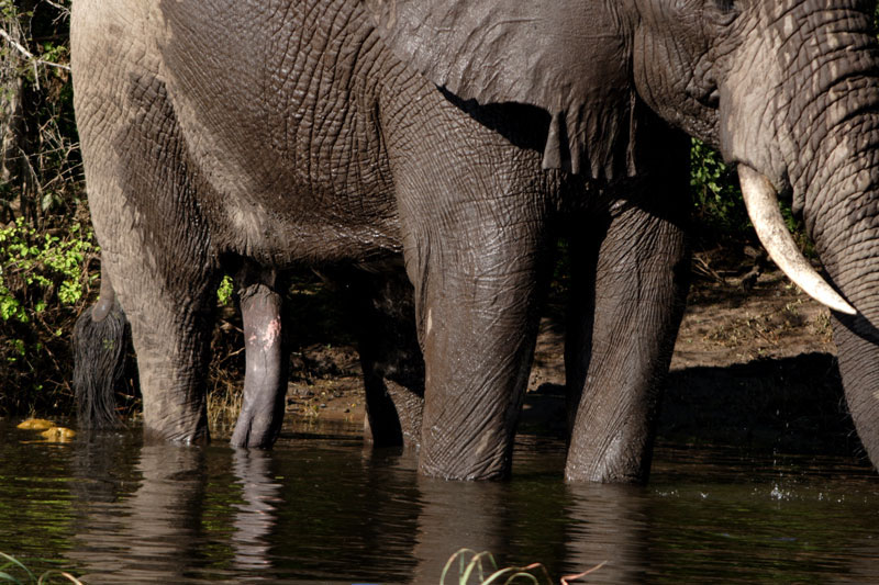 MagnusAndCheryl Picture