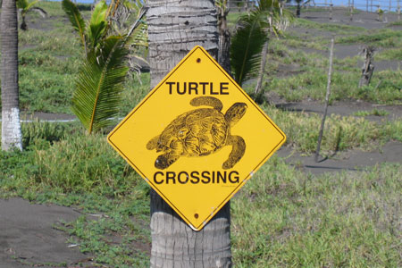 MagnusAndCheryl Sign - Turtle Crossing